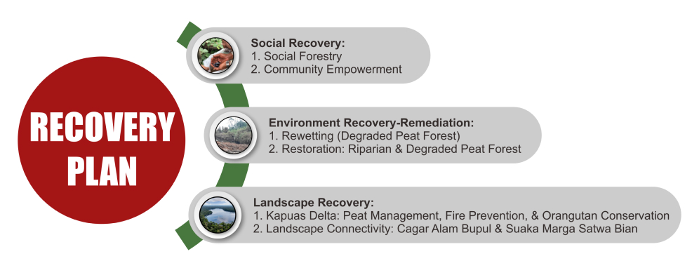 Recovery Program