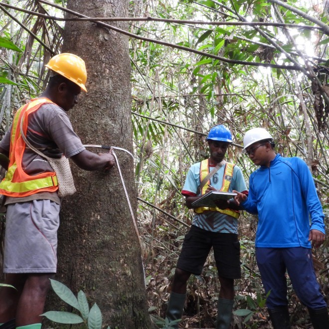 Forest Protection